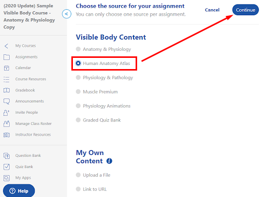 Creating Courseware Assignments Using Custom Content
